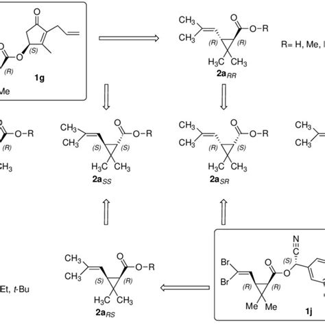 Pdf Pyrethroid Insecticides Chapter I Synthesis Structure Biochemistry And Biosynthesis Of