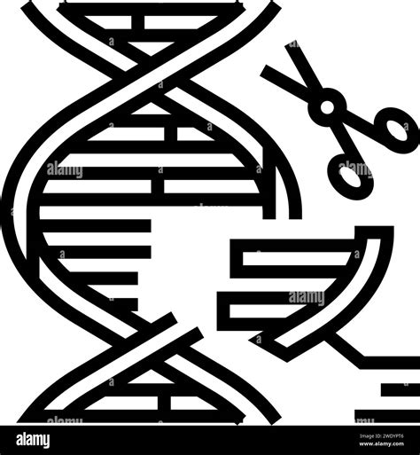 Genome Editing Cryptogenetics Line Icon Vector Illustration Stock