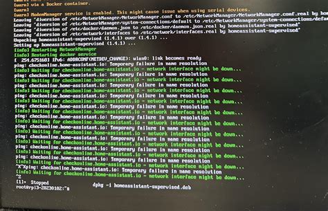 Home Assistant Io Running Via Docker On Debian I Have No Idea Why Ha