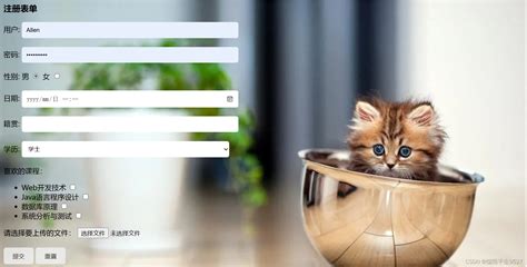 Web 实验一 Html基本标签实验html 实验 Csdn博客