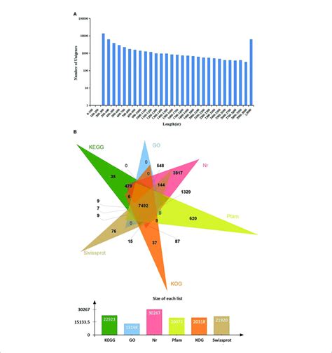 Length Distribution And Annotation Of Transcriptome Unigenes A