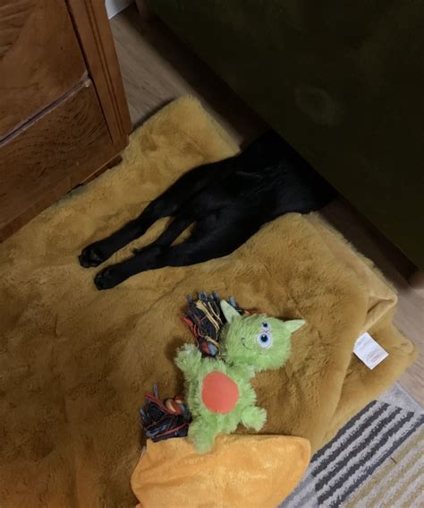 Jim Slip On Twitter Now Wheres That Mains Cable I Bit Through It Gave Me A Slight Tingle