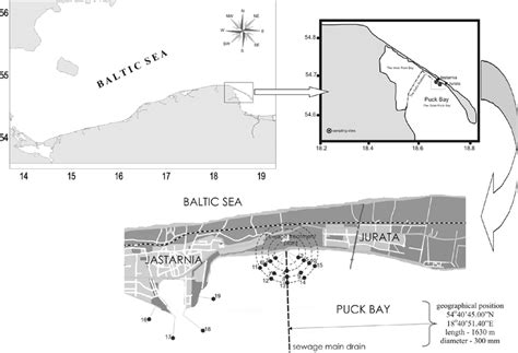 Localization Of Sampling Sites Download Scientific Diagram
