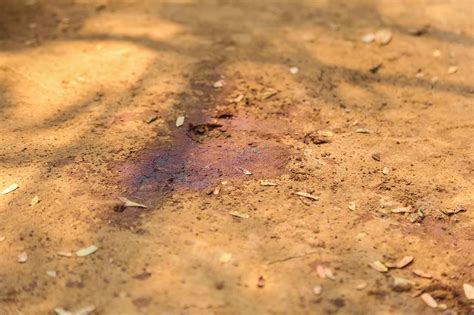 Dvb အောင်သပြေရွာသား ၁၀ ဦးကို ရဲတပ်ဖွဲ့ကဝင်ရောက် ဖမ်းဆီး ဓာတ်ပုံ