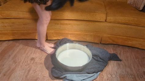 Fifi Steps Into Corn Starch Oobleck With Her B Knee High Boots This Time An Extra Deep