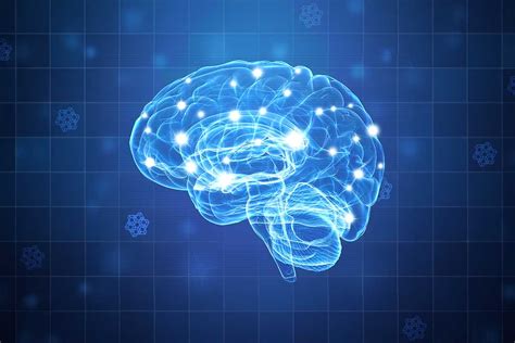 Enhancing Transparency In Ai Explainability Metrics Via Lime With Holistic Ai Library