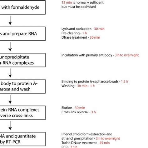 Flowchart Of The RIP Protocol Download Scientific Diagram