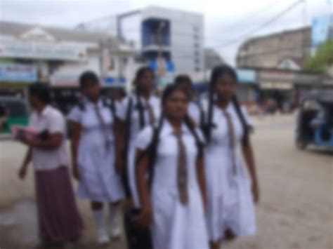 ලංකාව ලෝකයෙන්ම දෙවෙනි තැනට ඔසවා තබයි Lanka Truth සිංහල Latest And