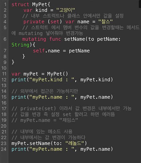 swift 기초 문법 29 private set