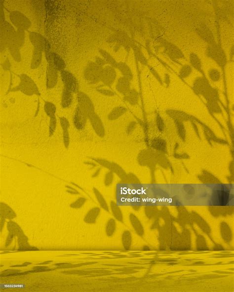 노란 그림자 배경 골드 스튜디오 제품 콘크리트 시멘트 대리석 로프트 플랫폼 종이 바닥 그런지 텍스처 책상 벽 오라뉴 컬러 솔리드 룸 배경 빈 모형 디스플레이 여름 주방 3d