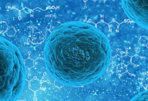 微动力细胞开发 西安 有限公司 微动力细胞开发 西安 有限公司