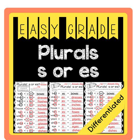 Plurals Add S Es Ies Mixed Plurals Plural Nouns Assessment Made