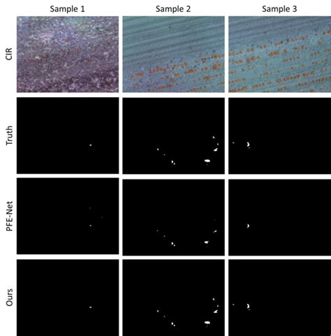 The Proposed Methods Predictions For Weed Detection Scene Test Samples