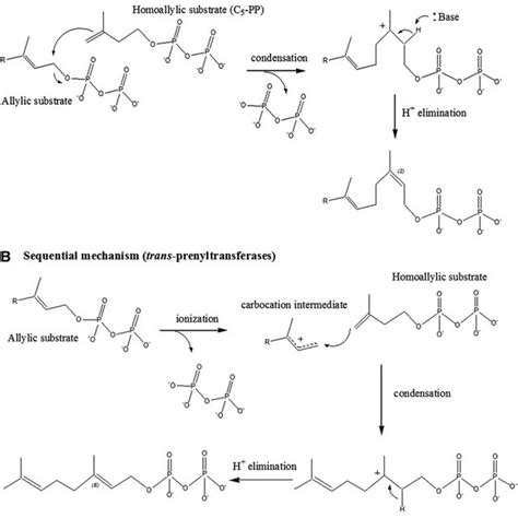 Pdf Deciphering The Metabolism Of Undecaprenyl Phosphate The Bacterial Cell Wall Unit Carrier