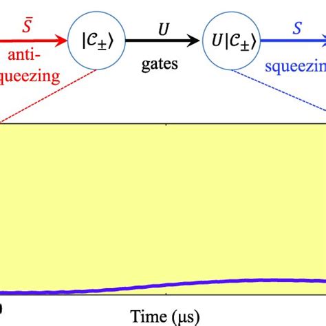Top Panel The Process Of Ngqc For The Amplified Catstate Qubits Download Scientific Diagram
