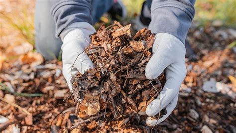 Closing The Loop With Composting Machines Togo Composting Machine