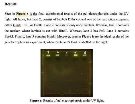 Discuss The Results Given Of The Restriction