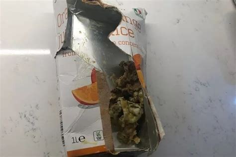 Lidl Latest News Updates Pictures Video Reaction The Mirror