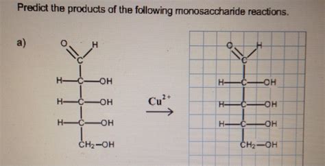 Solved Predict The Products Of The Following Monosaccharide