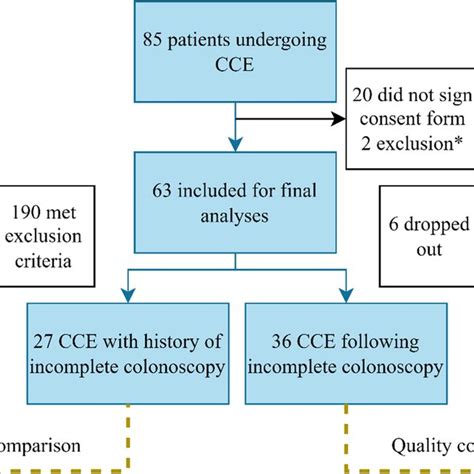 Flow Chart Of AA Colonoscopy Colon Capsule Endoscopy And CT Download Scientific Diagram