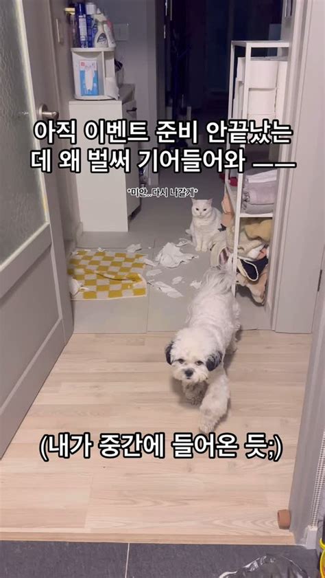 포차코 군밤 하나만 사주세요 🥺 Instagram