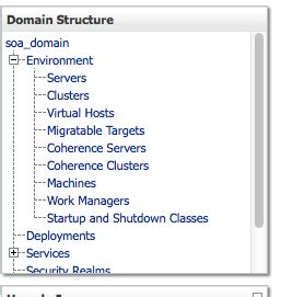 Nostra Technology Membuat Custom WebLogic Certificate