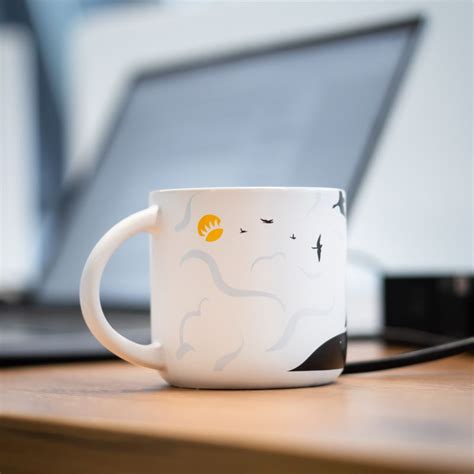 amelia kaniewska on linkedin andersen andersenvacancy databasedeveloper plsqldeveloper