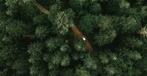 Lidar点群の基礎：3dマッピング活用法 高精度データ収集から解析までlidar技術の利点を解説