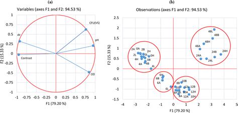Representation Of Principal Component Analysis Data A Pearson Download Scientific Diagram