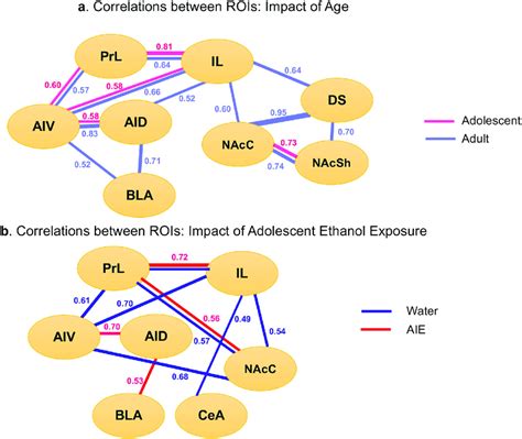 Correlation Matrices As A Measure Of Functional Connectivity Between