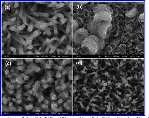 Figure 3 From Biofunctional Zno Nanorod Arrays Grown On Flexible
