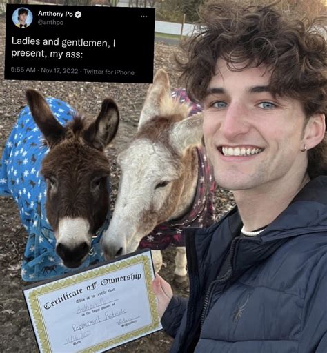 Well Isnt That A Cute Ass Rtechnicallythetruth