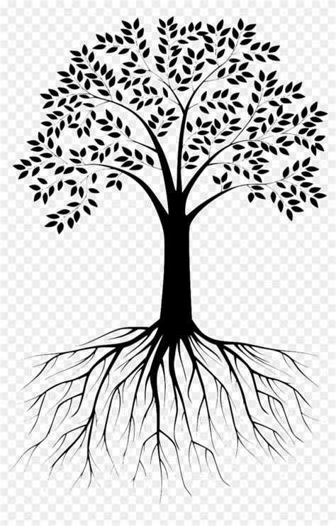 Tree Roots Silhouette