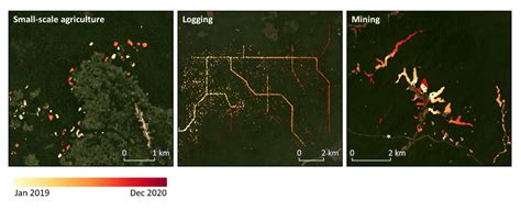 Characterizing And Predicting Forest Disturbance With Satellite Data And Artificial Intelligence
