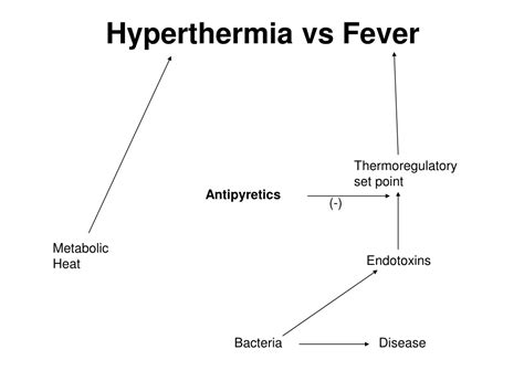 Ppt Exercise And Thermal Stress Powerpoint Presentation Free