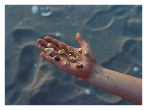 Alices Shells Visiting Artists