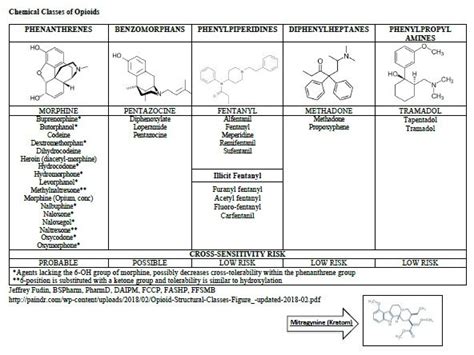Opioid Allergy Pseudo Allergy Or Adverse Effect