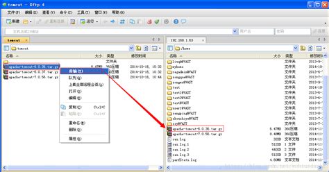 Linux上部署tomcat及web项目（亲测）linux下tomcat Csdn博客