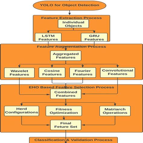 Overall Flow Of The Classification Process Download Scientific Diagram