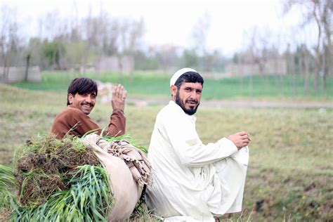 zeeshan khan insearch pk