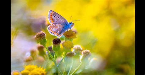 ПОДРОБЕН хороскоп за седмицата 2 8 септември КОЗИРОГЪТ остава без пари но му върви в любовта