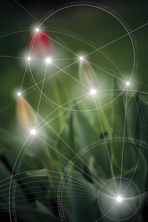 Light Codes Activating Your Divine Potential The Daily Dish