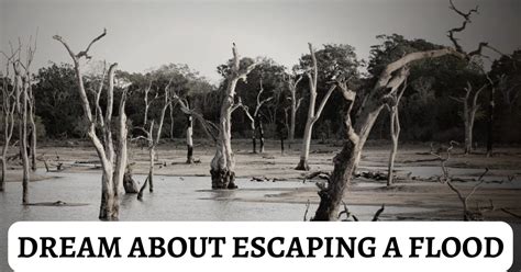 What Does It Mean To Dream About Escaping A Flood
