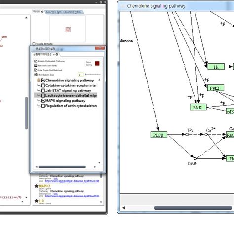 Shows A Visualization Functions Proposed Multidimensional Pathway Download Scientific Diagram