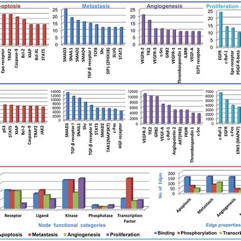 Landscape Of The Four Cellular Processes In Terms Of The Node Degree