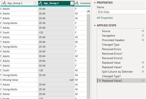 Data Cleaning In Power Bi Functions Examples How To Clean
