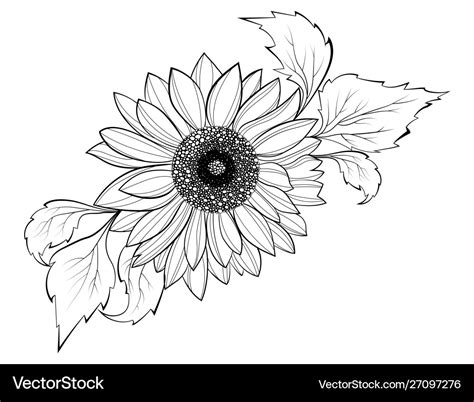 Sunflower Art Black And White At Malik Keck Blog