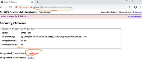 Solved Arcgis Server Manager Redirecting Back To Login Pa Esri Community