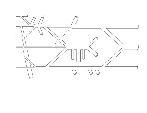 Brachial Plexus Diagram Quizlet