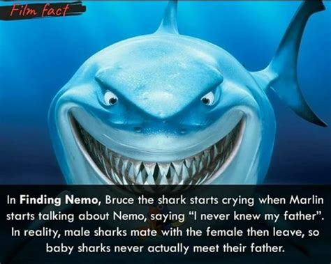 In Finding Nemo Bruce The Shark Starts Crying When Marlin Starts Talking About Nemo Saying I
